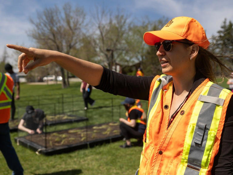What is a 'floating wetland' and why are they being added to Regina's ...