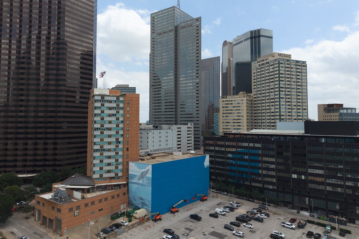 Artist sues after Dallas whale mural painted over for World Cup