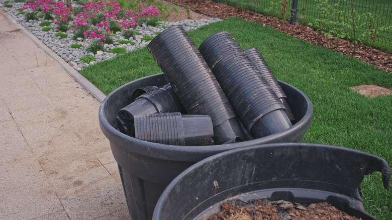 Don't toss old plastic nursery pots, reuse them for a healthy, thriving ...