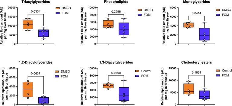 Common asthma drug may reverse dangerous fatty liver disease