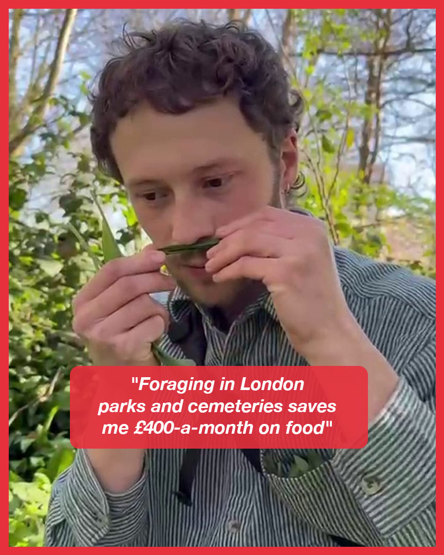 Man saves up to $540 a month by foraging 80% of his food in London parks