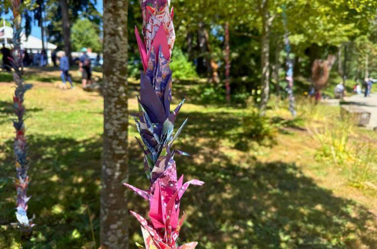2,000 paper cranes folded for peace as part of AA&H Festival