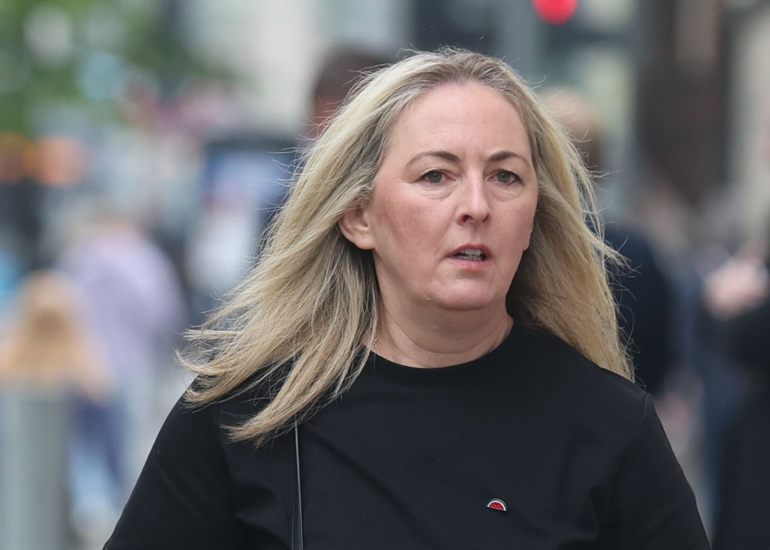 Woman facing charges after MI5 operation targeting New IRA wants ...