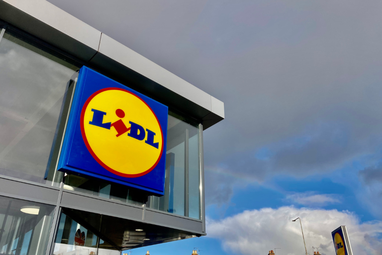 Lidl's £4.99 ballet pumps in the style of the season will earn you ...