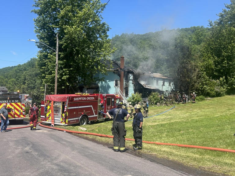 Dog dies in fire, home severely damaged