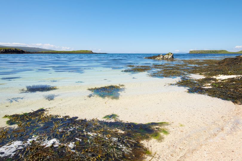 Scotland's cleanest beaches where visitors are 'least likely to ...