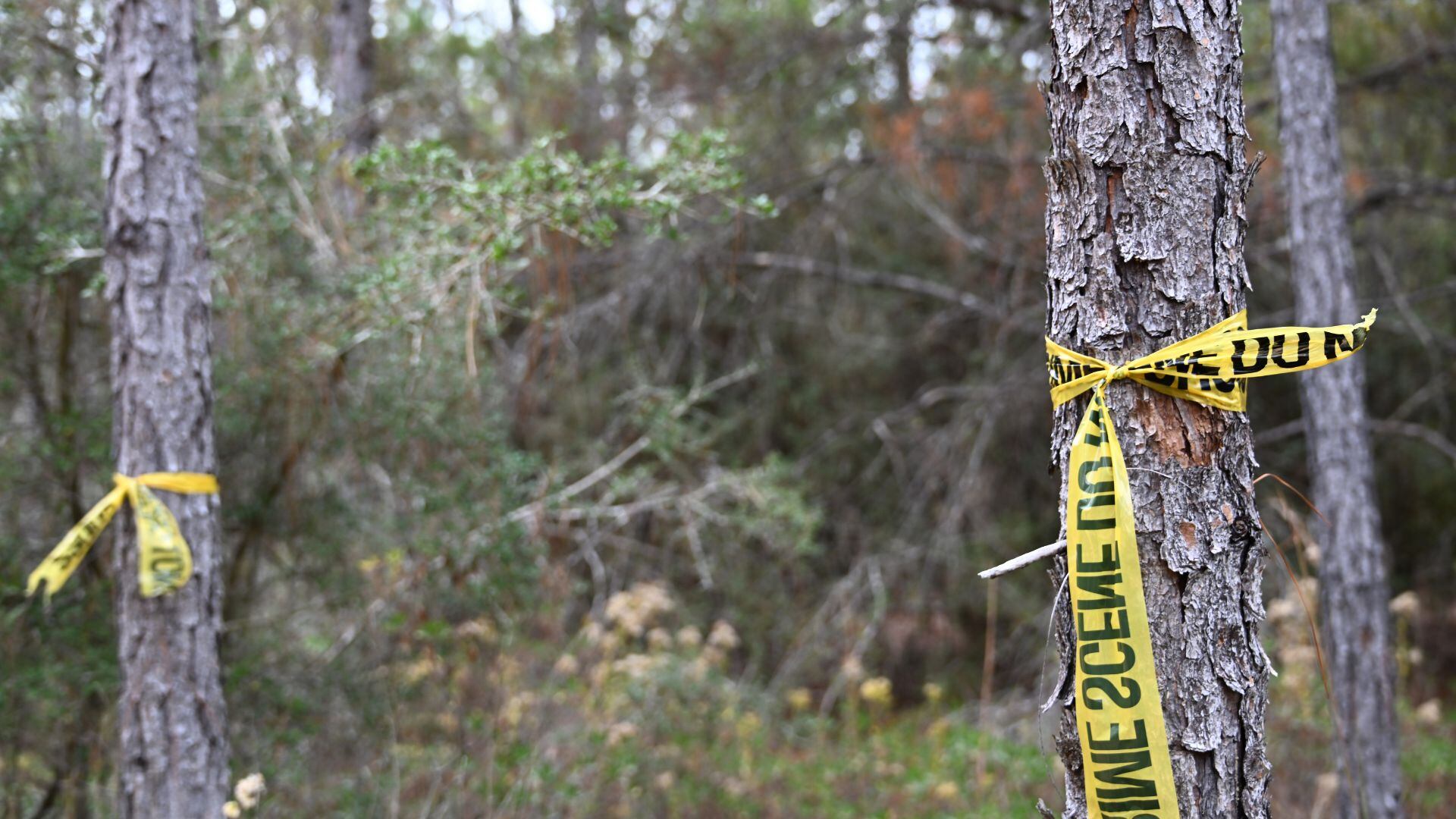 Remains found on Eglin property identified as missing DeFuniak Springs man
