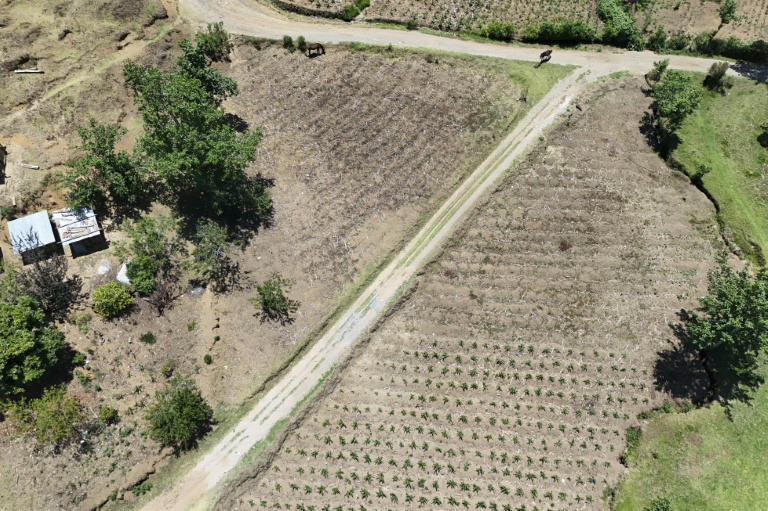 Fears of hunger overwhelm Guatemalan village as El Nino approaches