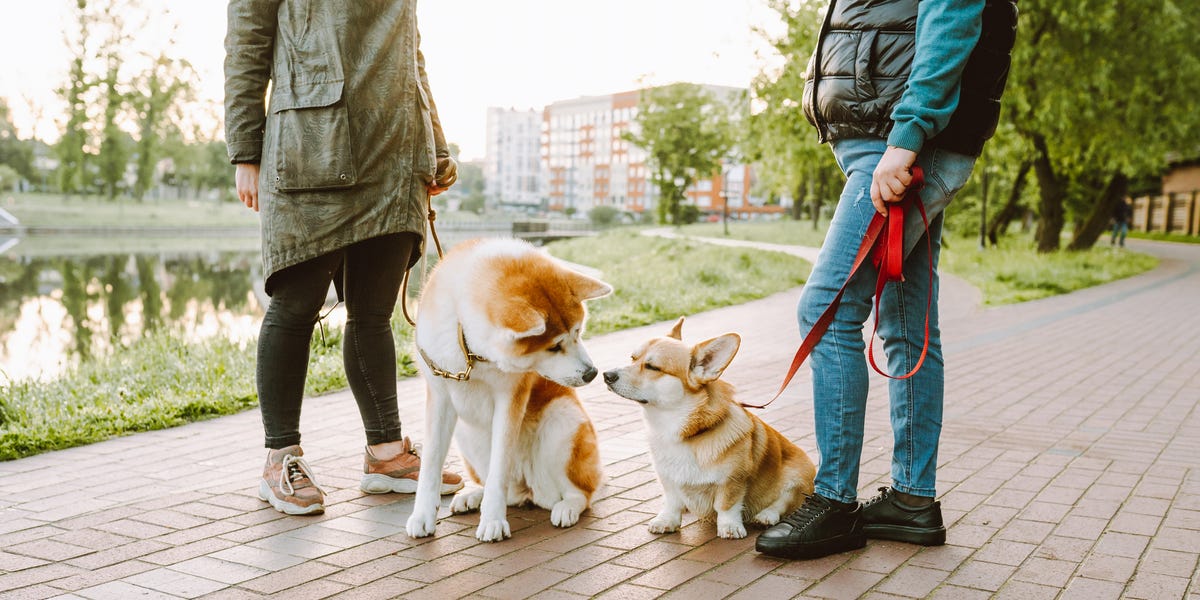 Making friends as an adult is hard. This habit makes it easier.