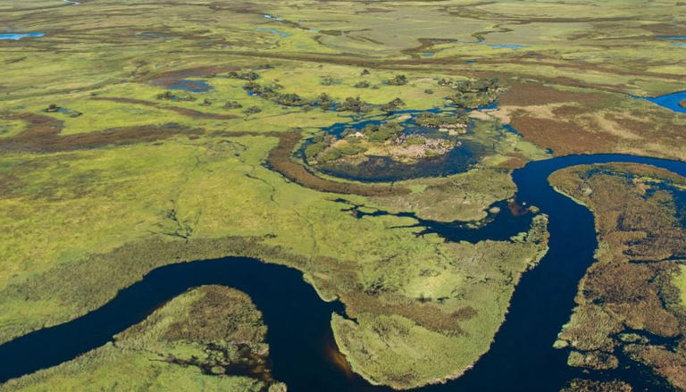 Okavango, el río que muere en el desierto para dar vida a África