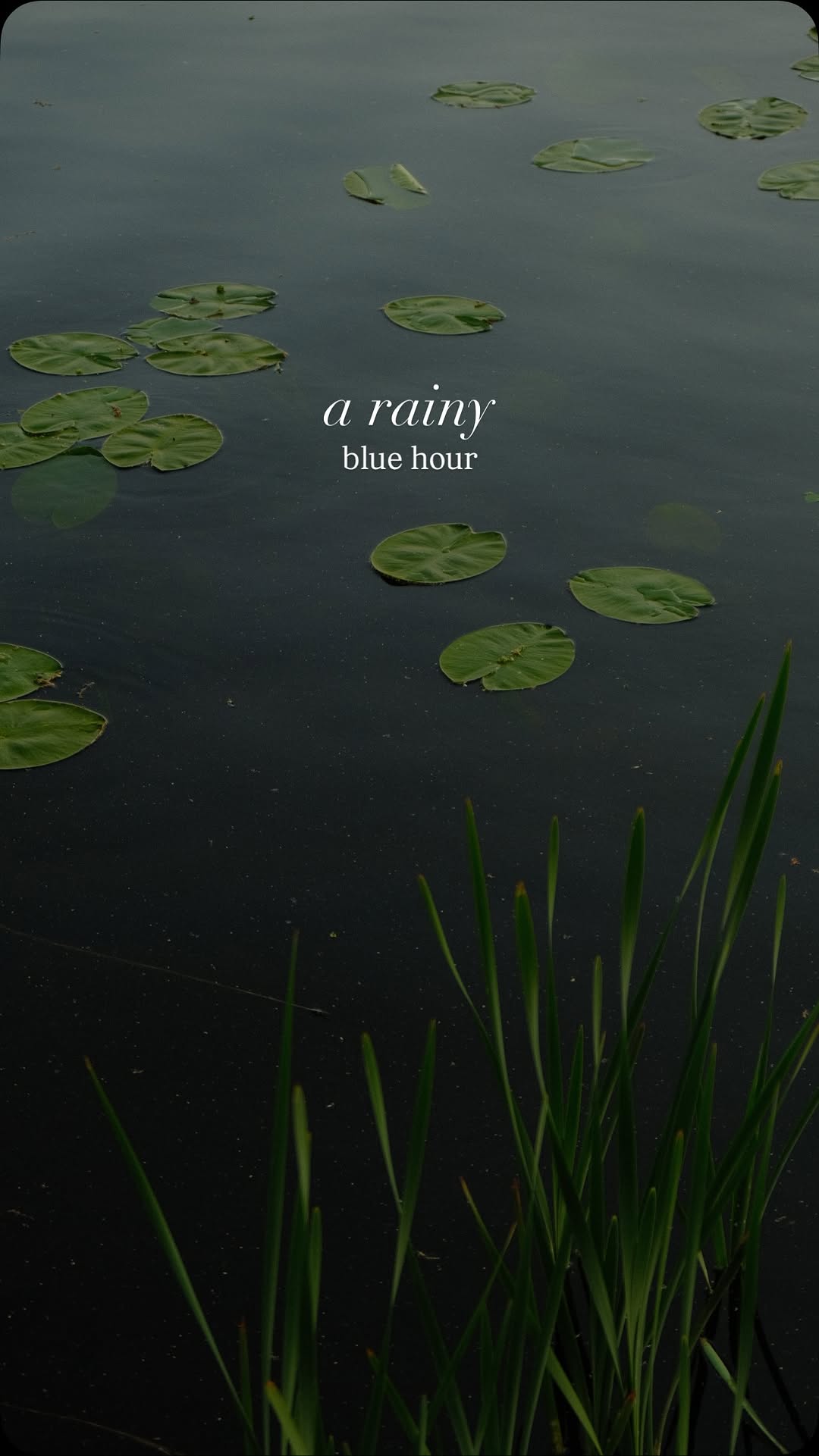 A rainy blue hour that feels like a dream