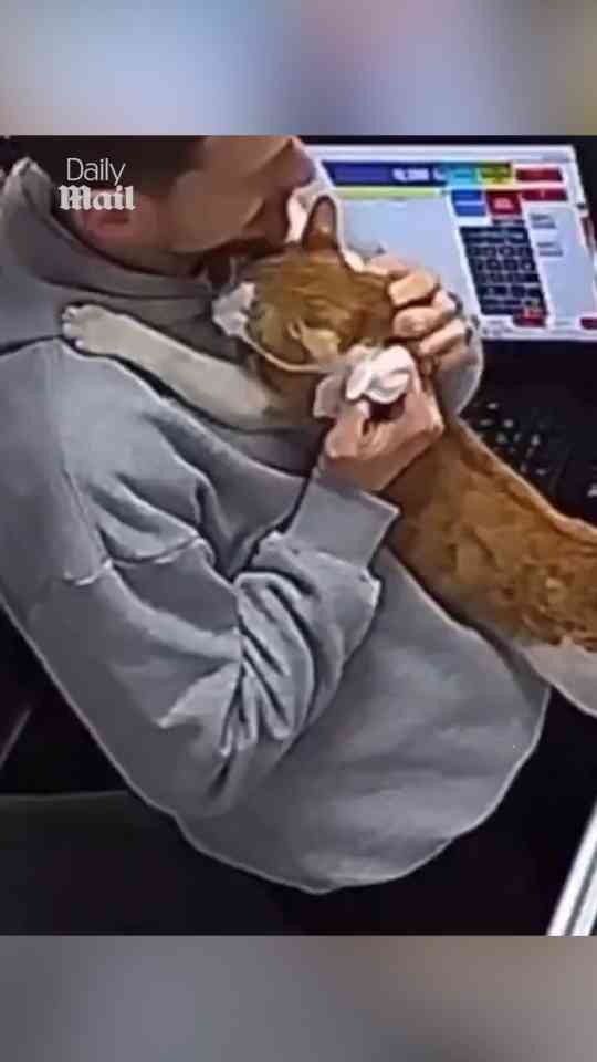 Abandoned kitten visits shopkeeper every day for a hug
