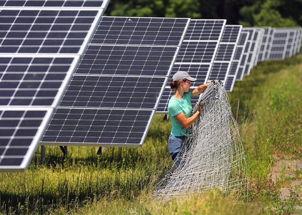 The state of solar: Despite partisan rhetoric, the industry is still ...