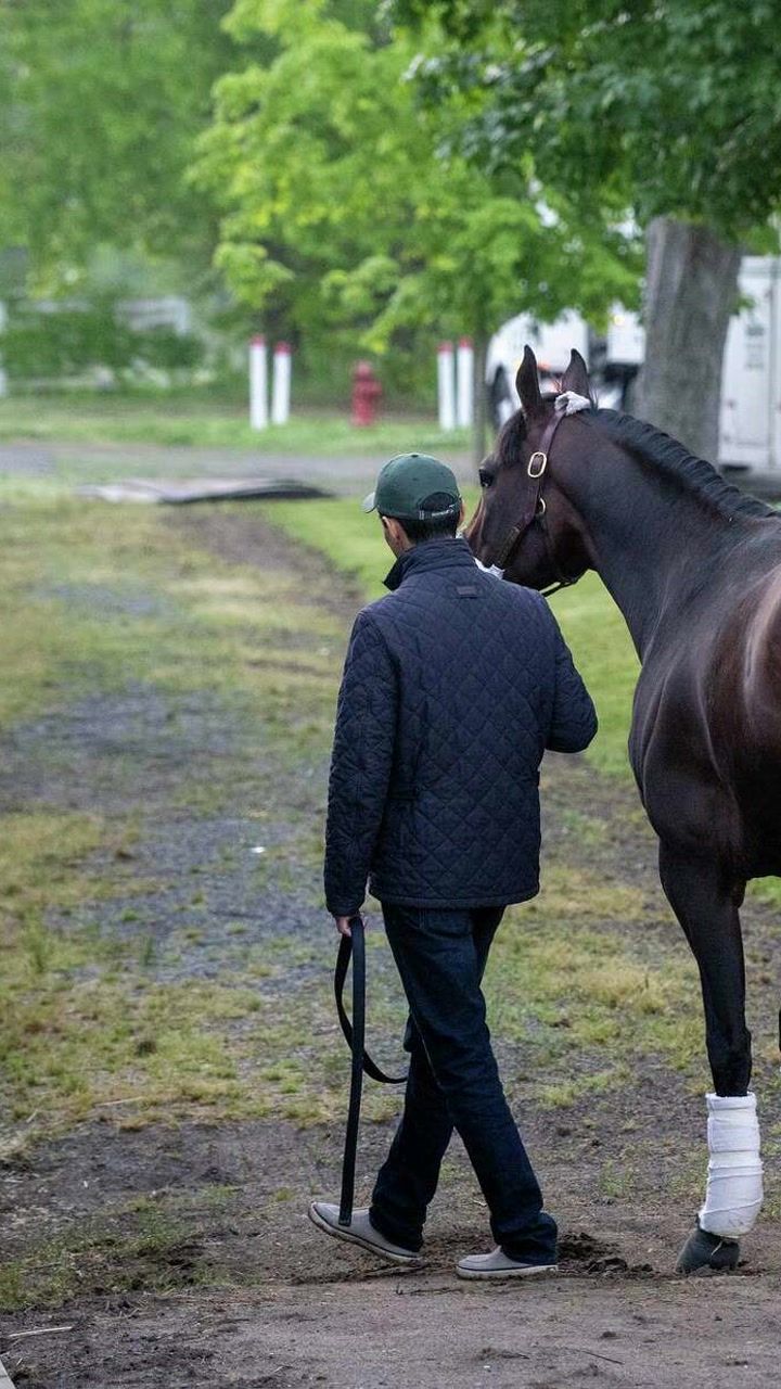 Kentucky Derby winner Golden Tempo arrives in Saratoga ahead of 2026 ...