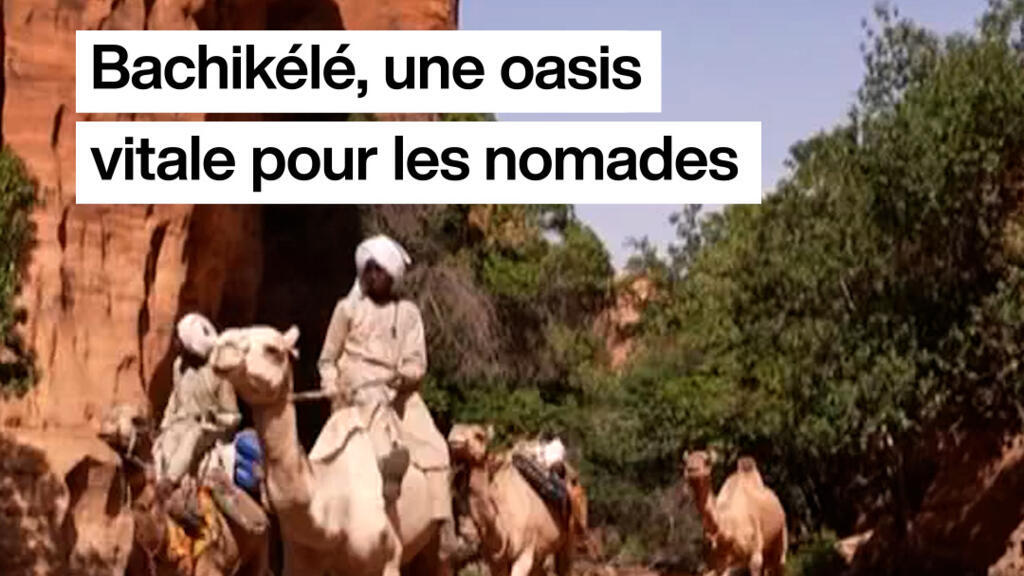 Tchad : Bachikélé, une oasis vitale pour les nomades