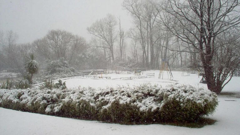 Snow place like home: Where to catch SA's best winter wonderland views ...