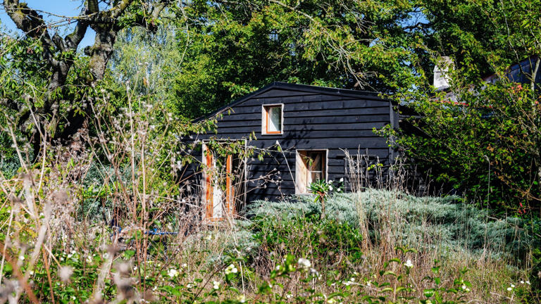 ‘Let it bloom’ June is one landscaping trend homeowners really should ...