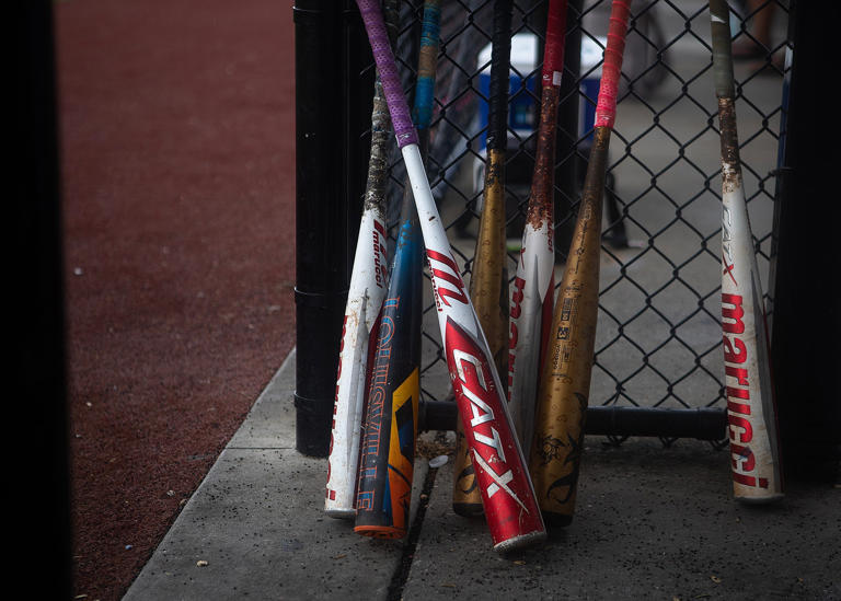Banned youth baseball coach says he wouldn’t pass background check ...