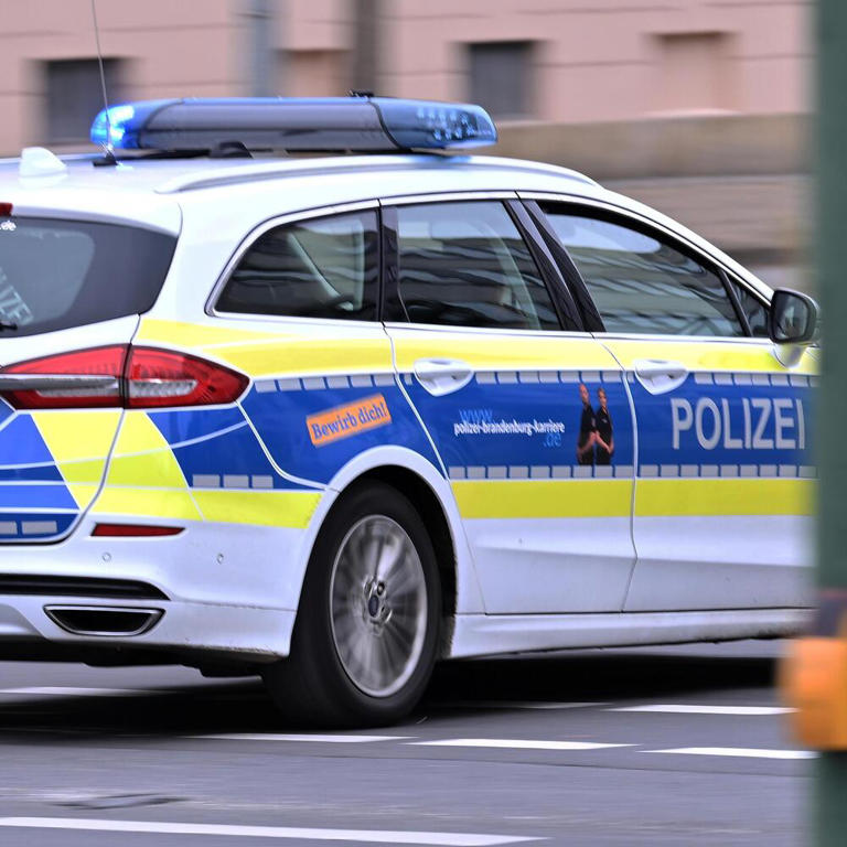 Potsdamer Polizei stoppt Randalierer: Betrunkener warf in Babelsberg ...