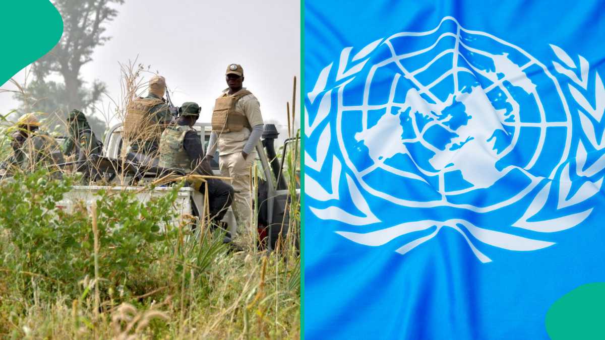 2026: Full names of Nigerian and organizations based in Nigeria on UN ...