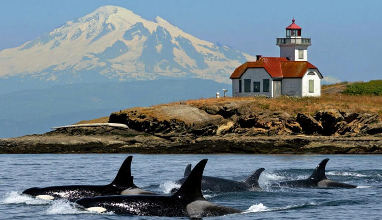 10 best island destinations in the US for a summer escape