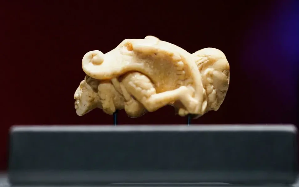 Medieval ivory fragment reveals elite life beyond written record