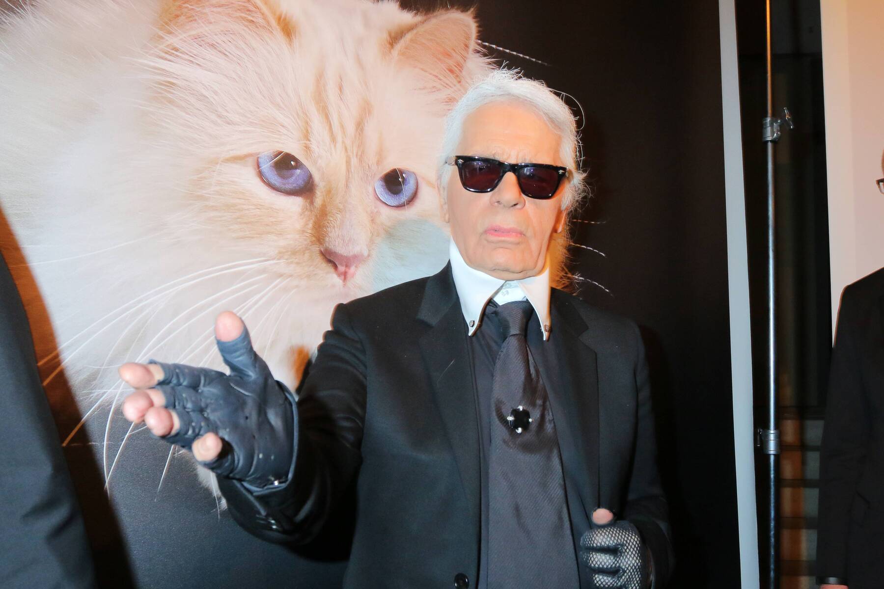 Karl Lagerfelds Katze Choupette wartet noch immer auf ihre Millionen