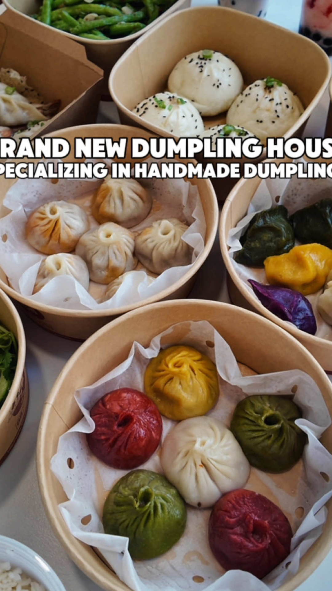 Handmade dumplings done right at 88 Dumpling House Houston