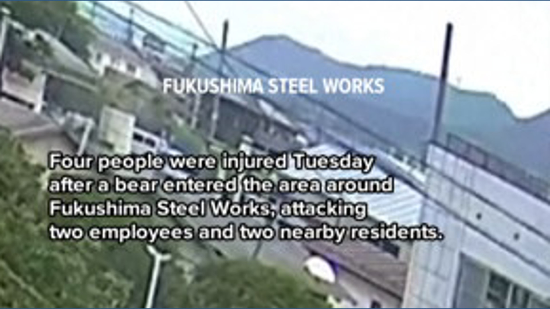 Four people injured in Japan bear attack