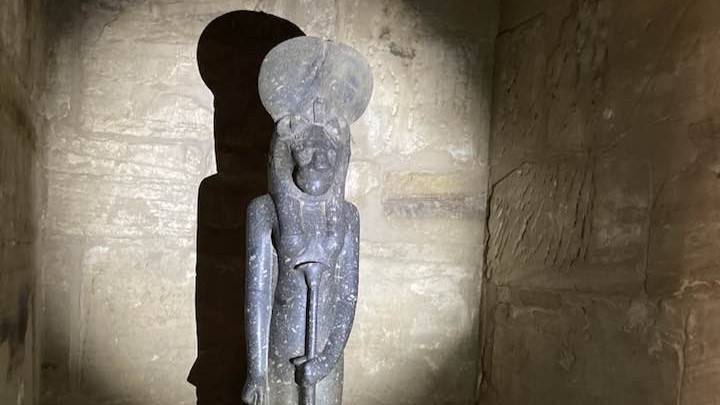 Visitors entered the chamber… then something impossible happened