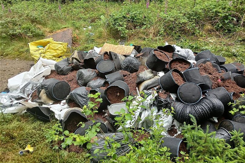Remains of cannabis farm dumped at Welsh beauty spot