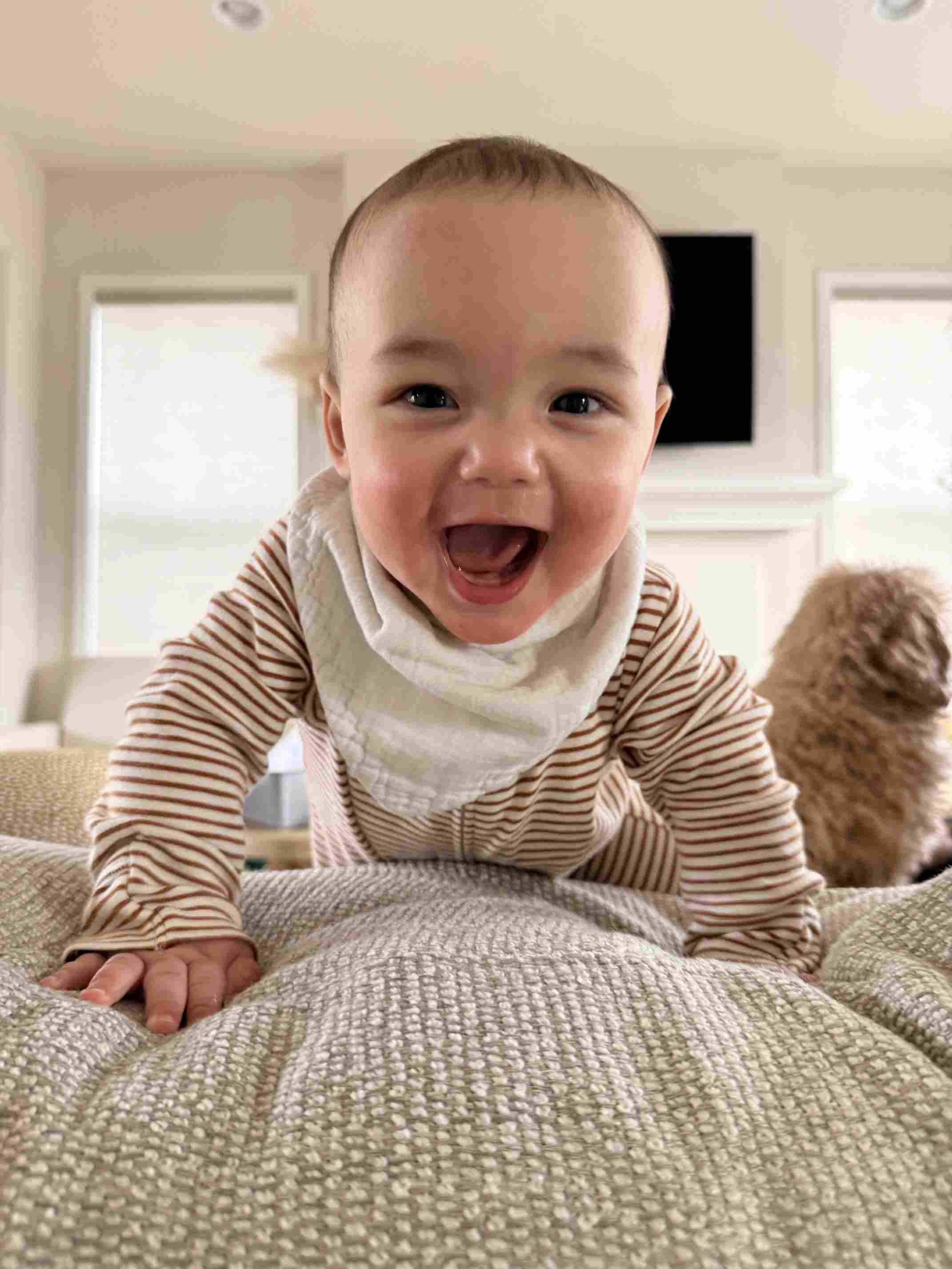 Meet Cameron, the new 2026 Gerber baby from Minnesota