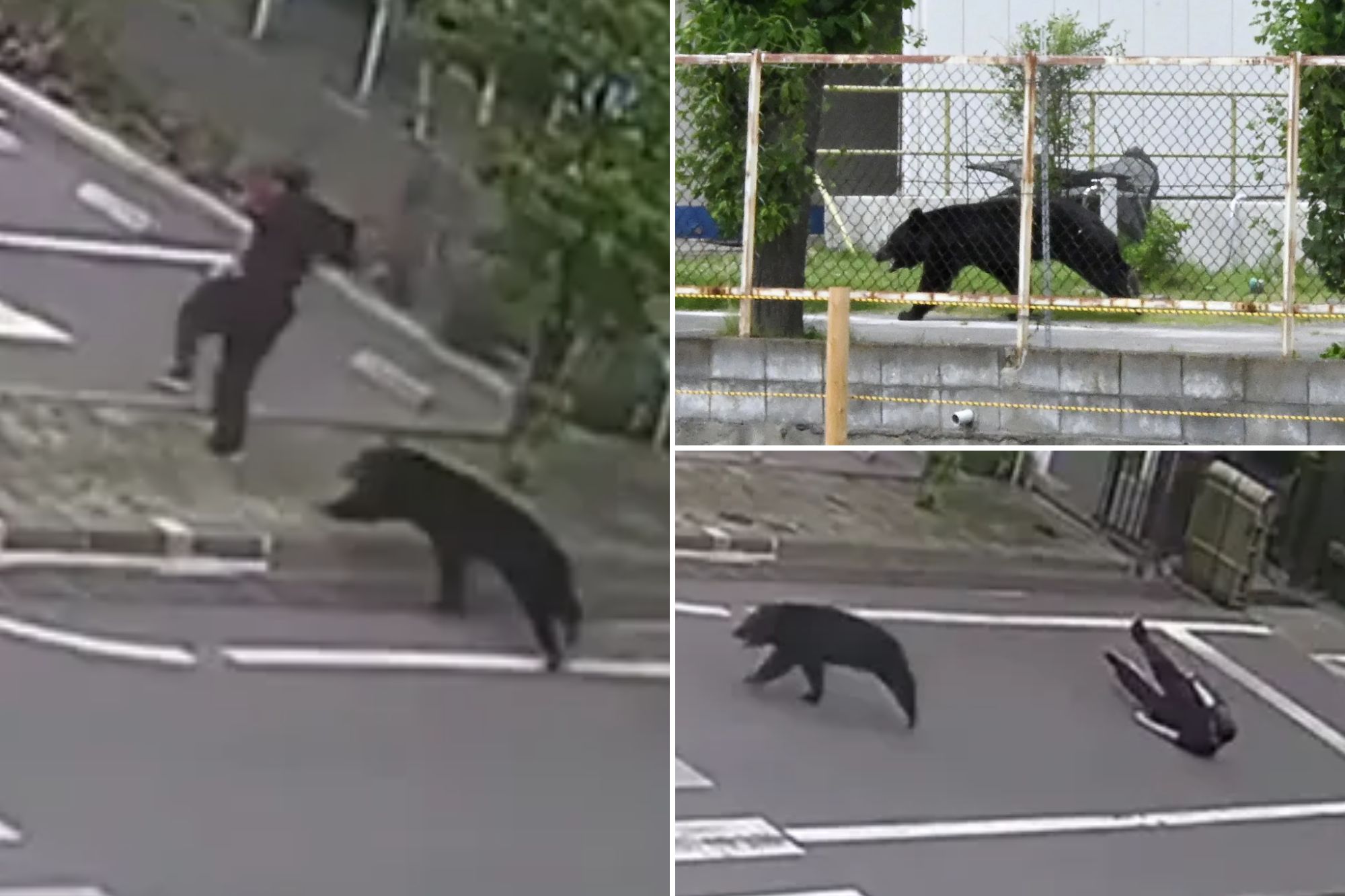 Bear injures 4 people during brutal attacks in Japanese residential ...