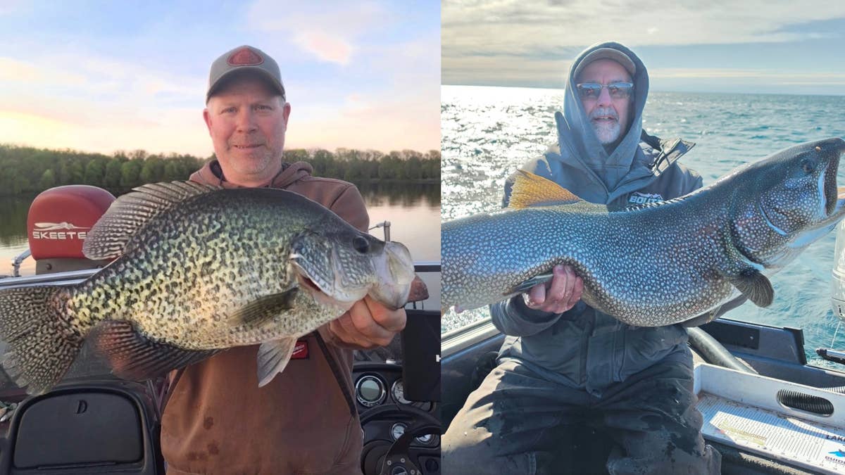 Huge catches break Minnesota's lake trout and crappie records