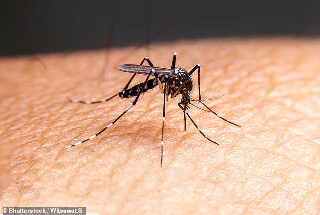 Outrage as Google plans to release 64 million bacteria-infected ...