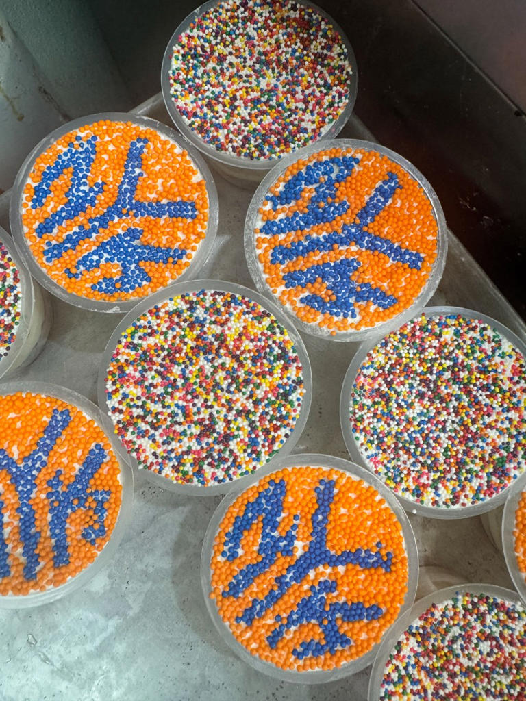 The tastiest Knicks-themed treats to enjoy while cheering on the ...