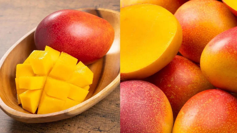The Rs 3 lakh mango: Why guarding this mango has turned out to be a ...