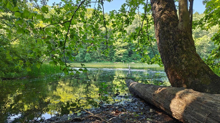 Indiana's lush national forest is a Midwestern haven with rolling hills ...