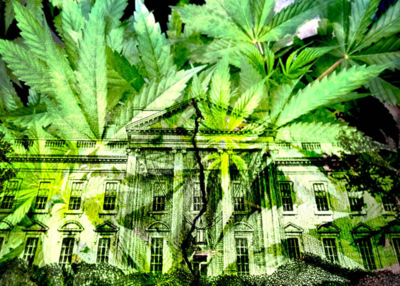 Biopharma, doctors sue Trump administration over marijuana rescheduling