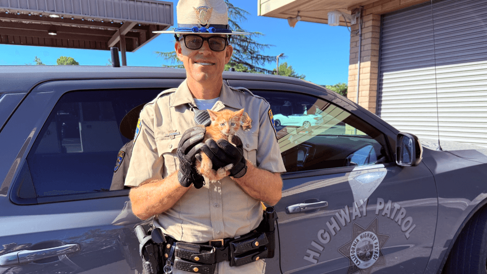 CHP Red Bluff officer rescues kitten on northbound I-5 past Hooker ...