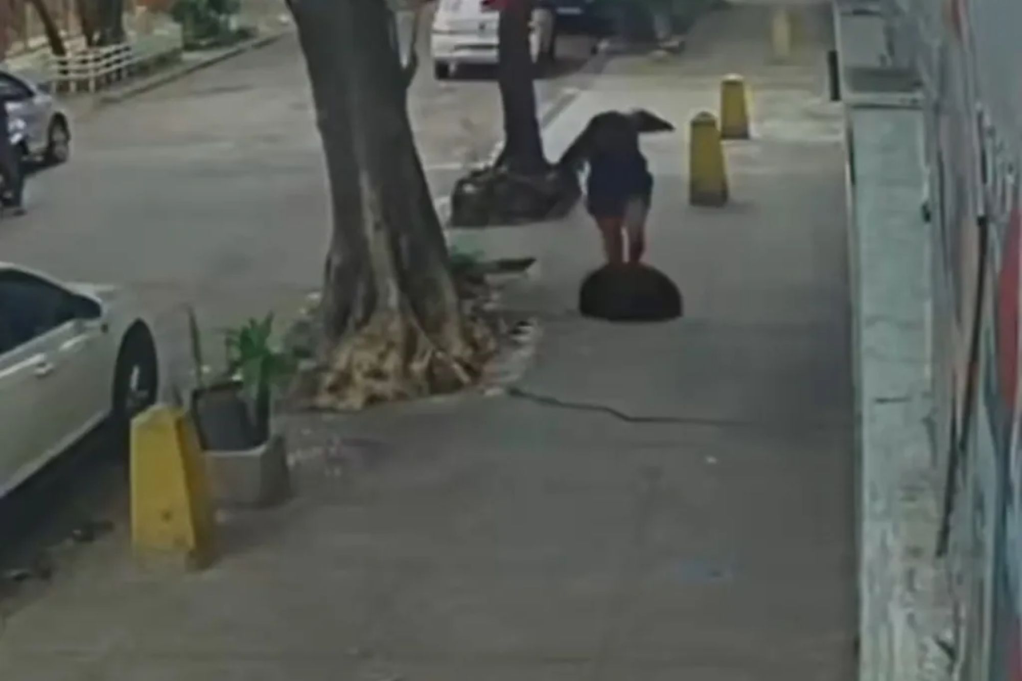 Terrifying moment woman falls down a manhole after cover gives way ...