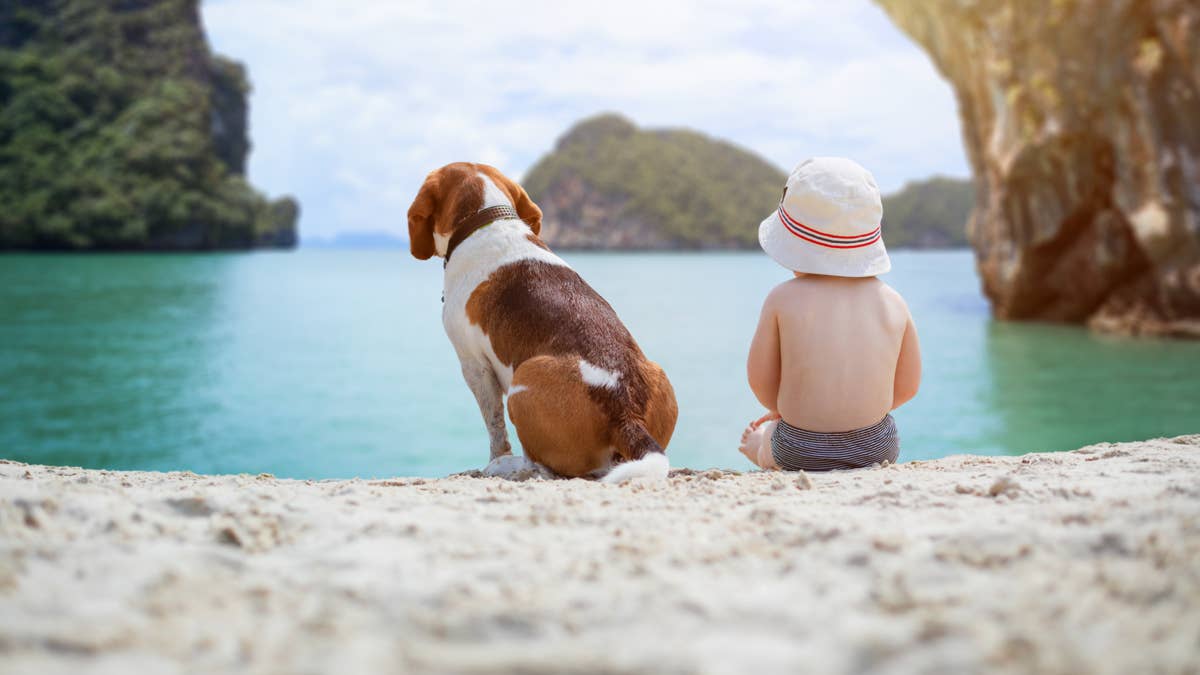 Watching this beagle and his baby sister grow up together is the ...