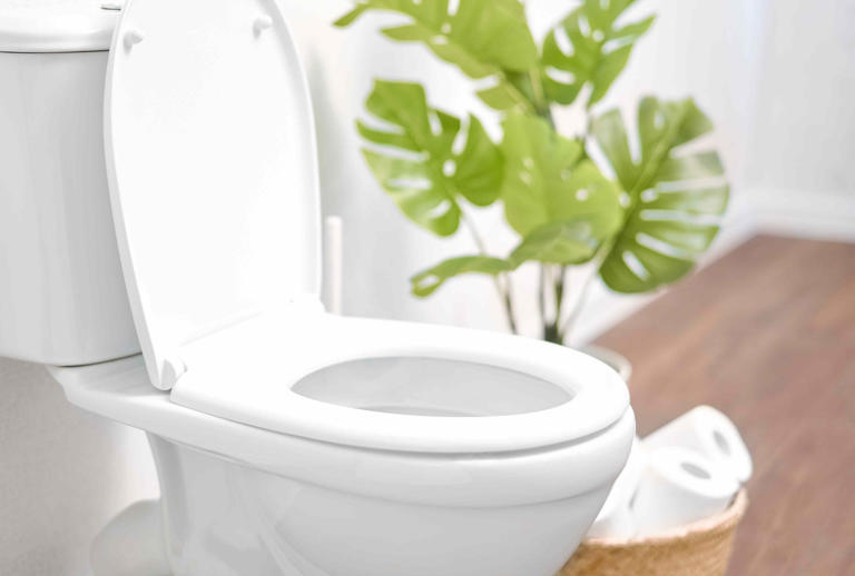 6 household staples that get your toilet sparkling clean naturally