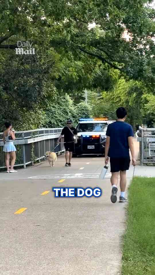 Police officer hilariously roasts distracted dog walker