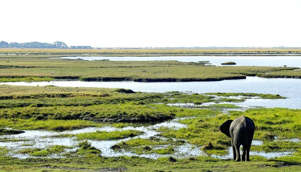 Okavango, el río que muere en el desierto para dar vida a África