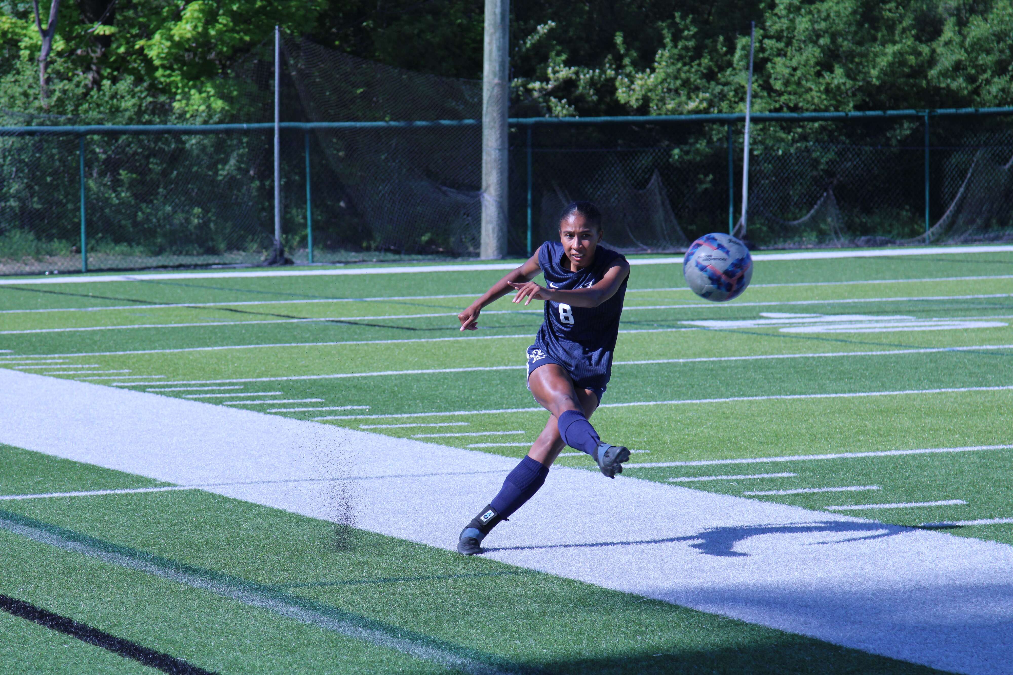 See Ann Arbor-area girls soccer regional schedule