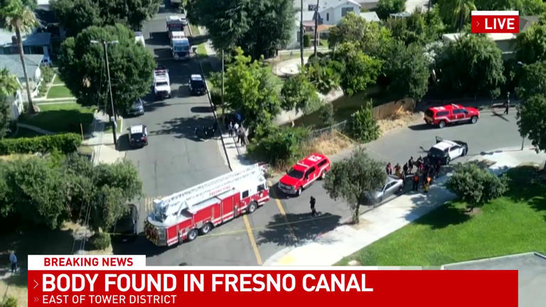 Second body found in same canal where murder victim found