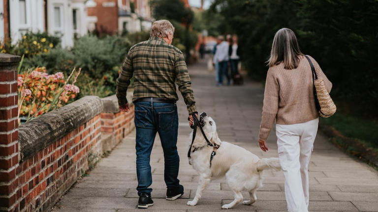 Why your dog’s thyroid can change its behavior
