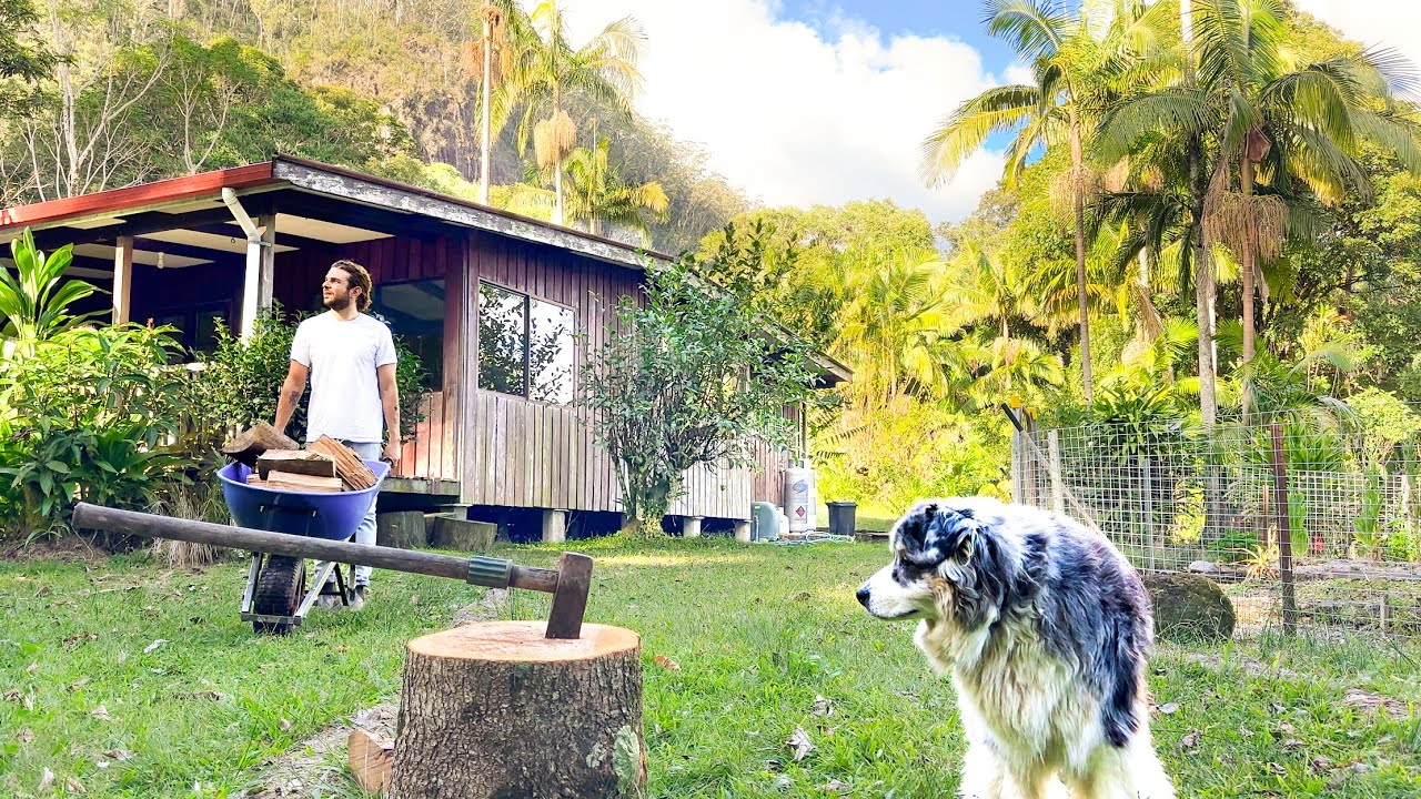 Discovering cabin life in the rainforest