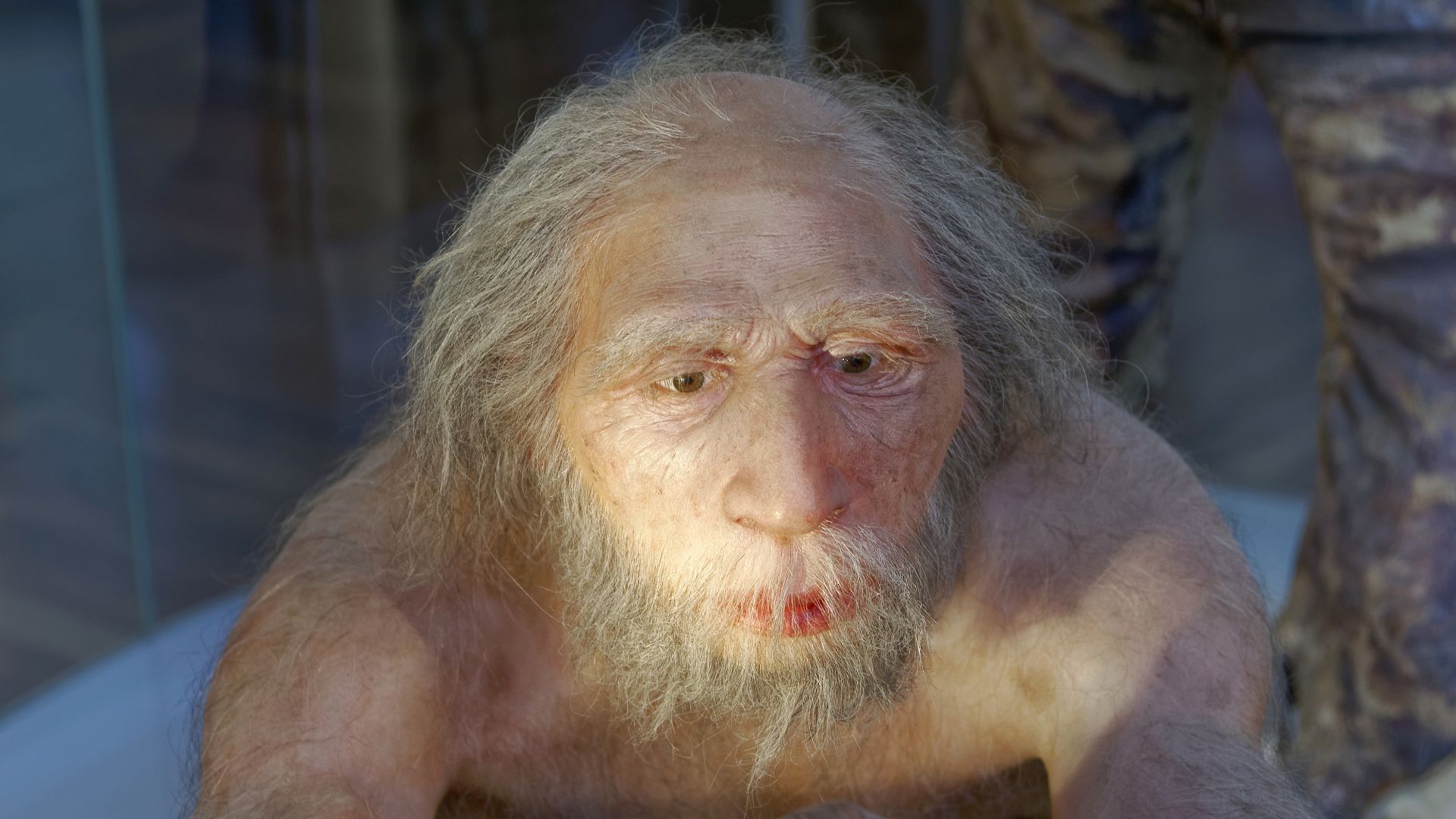 Archaeologists uncovered evidence suggesting Neanderthals cared for ...